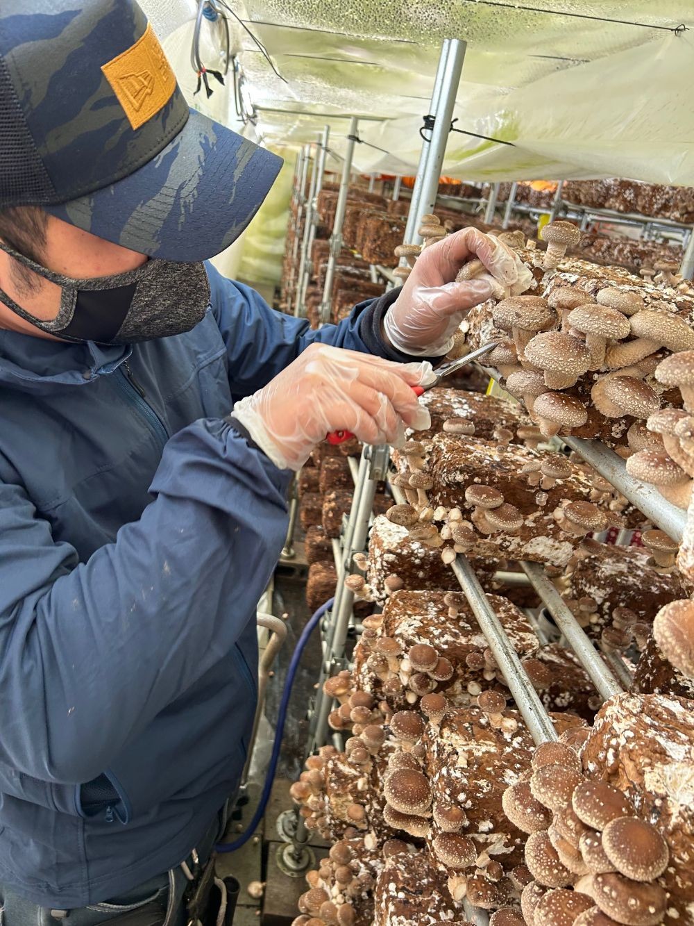 【Skill Shift】地方副業で貢献を｜地域企業 副業プロジェクト